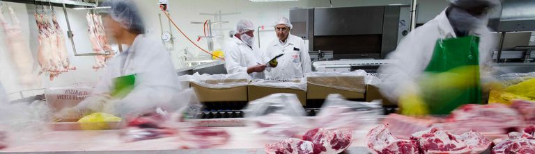 V&V Walsh – Western Australia's Leading Lamb & Beef Producer